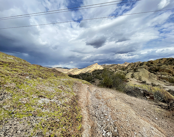Storm clouds gather over distant mountains, promising the dramatic sky show that desert dwellers know brings both beauty and life-giving rain.
