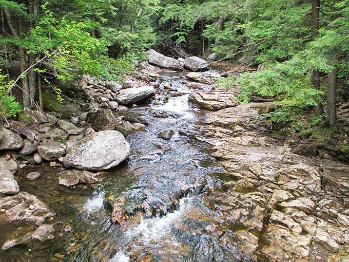 Crystal clear mountain streams whisper secrets of the forest &ndash; nature's soundtrack at its finest.