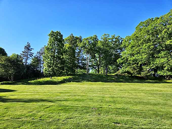 Majestic trees stand guard over perfectly maintained grounds, their leafy canopies offering shade and serenity.