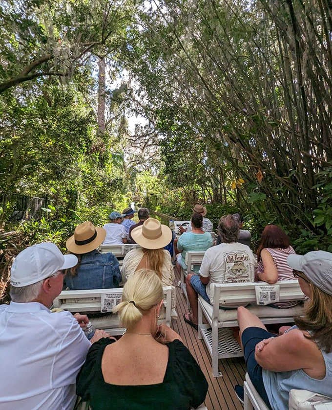 Hikers discover panoramic views along the shoreline trail, where the boundary between land and sea becomes a place of contemplation.