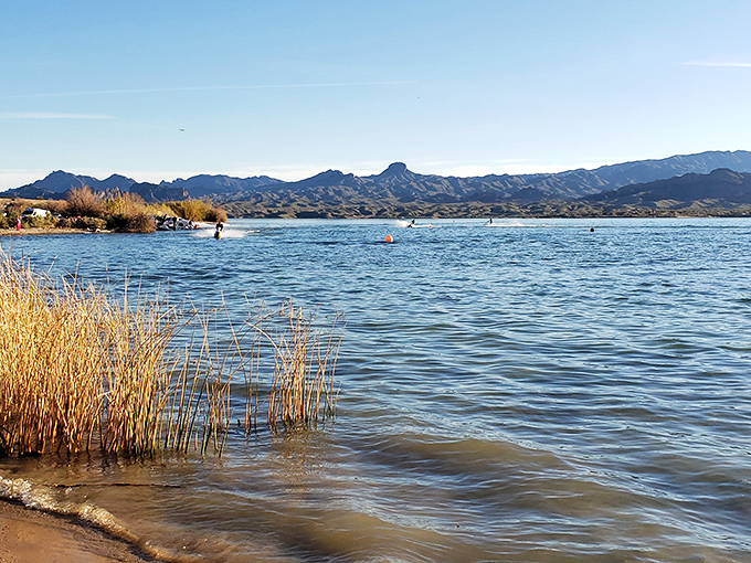 Water enthusiasts find their playground where you'd least expect it, proving Arizona has more refreshing surprises than a freezer full of popsicles.