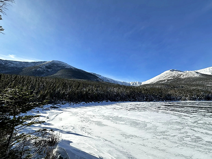 Winter transforms the landscape into a monochromatic masterpiece, where frozen waters sleep beneath a blanket of pristine white.