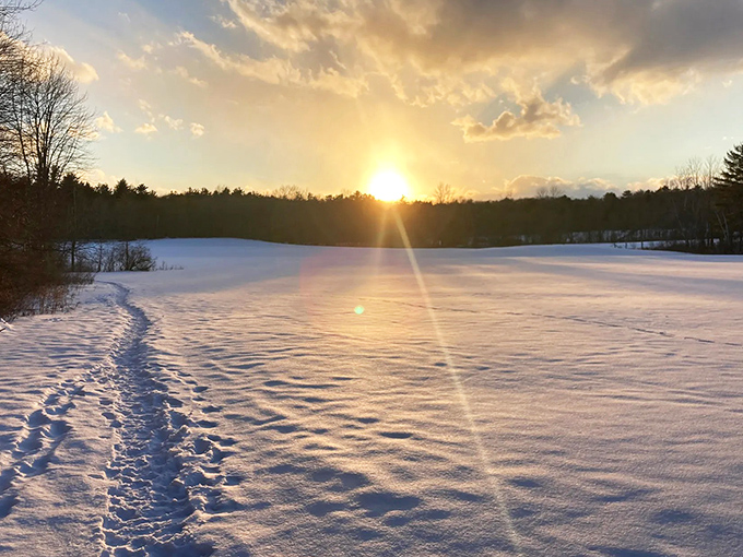Winter transforms Otter Creek into a snow-covered wonderland, where footprints tell stories of those brave enough to explore.