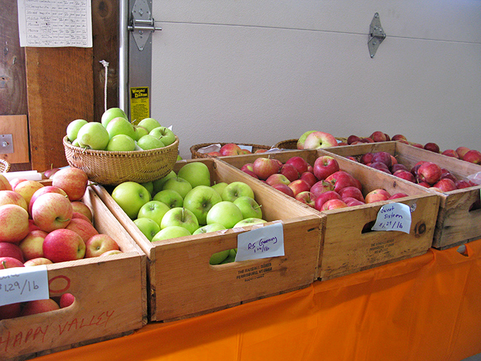Wooden crates showcase the stars of the show – apples in various stages of ripeness, each one a potential pie, sauce, or perfect snack.