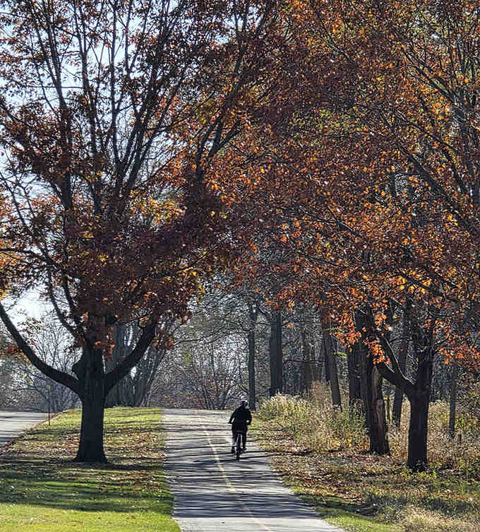 Cyclists find solace beneath a canopy of autumn leaves, where dappled sunlight creates a natural light show.