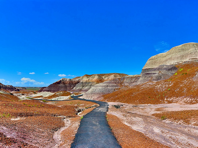 Blue skies, meet Blue Mesa. This trail offers a technicolor journey through Arizona's own Jurassic world.