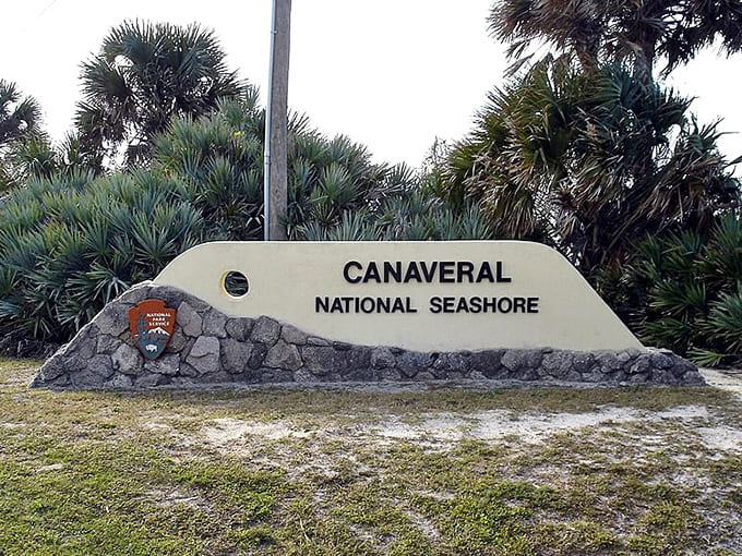 Canaveral National Seashore welcomes A1A travelers to one of Florida's most pristine coastal preserves, where development stops and nature reigns.