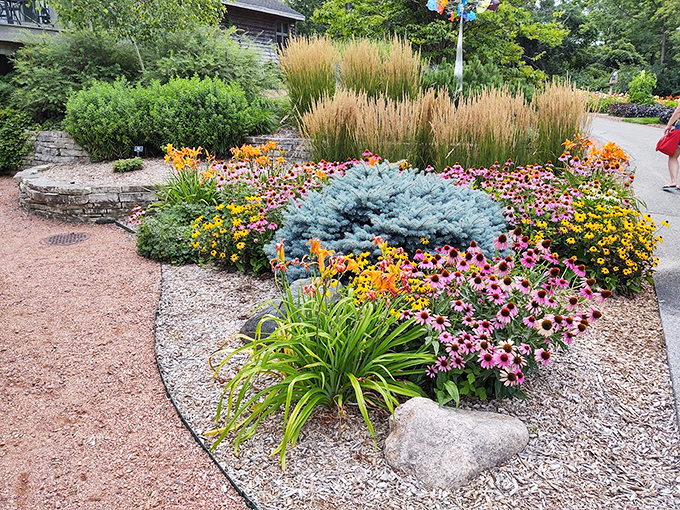 Flower power in full force! This vibrant display is like a garden party where every bloom is competing for the "Best Dressed" award.