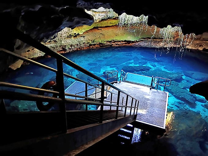 That moment when you realize you're swimming in a prehistoric cave illuminated by sunbeams &ndash; pure Florida magic.