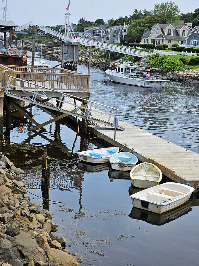 Small boats bob gently in the protected harbor – a reminder that your dinner probably arrived via these very waters just hours ago.