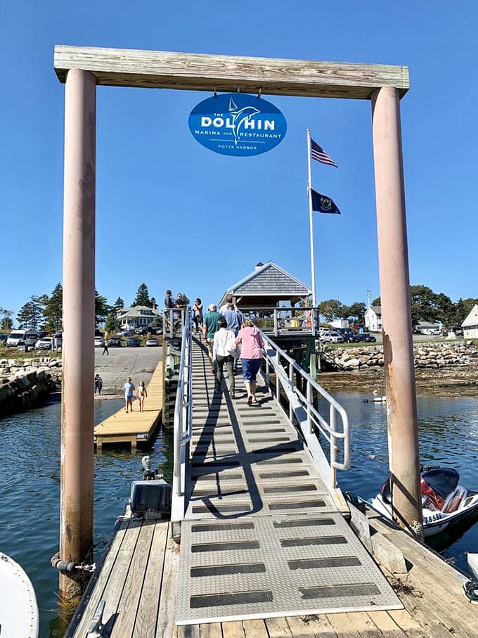 The walkway leading to Dolphin Marina & Restaurant builds anticipation with every step, promising the kind of meal you'll remember for years.