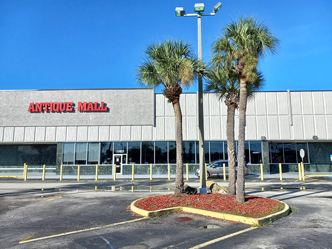 Wide Angle Palm trees frame this vintage hunter's paradise, adding a distinctly Florida touch to this treasure-filled destination.