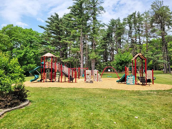 Playgrounds where kids burn off energy while parents enjoy the rare luxury of sitting down and watching clouds drift by overhead.