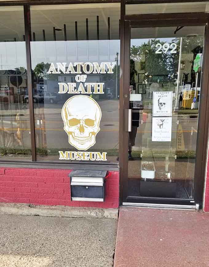 Front Entrance: The museum's glass door serves as both invitation and warning &ndash; the skull logo a sentinel guarding the threshold between everyday life and mortality's domain.