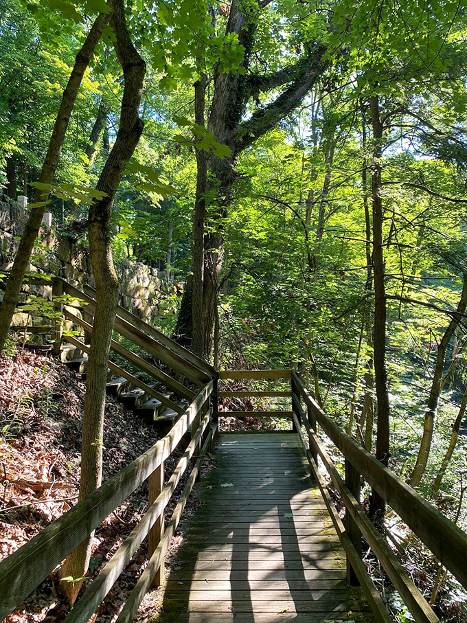 Wooden walkways lead visitors deeper into the forest's embrace, each step a journey further from urban concerns.