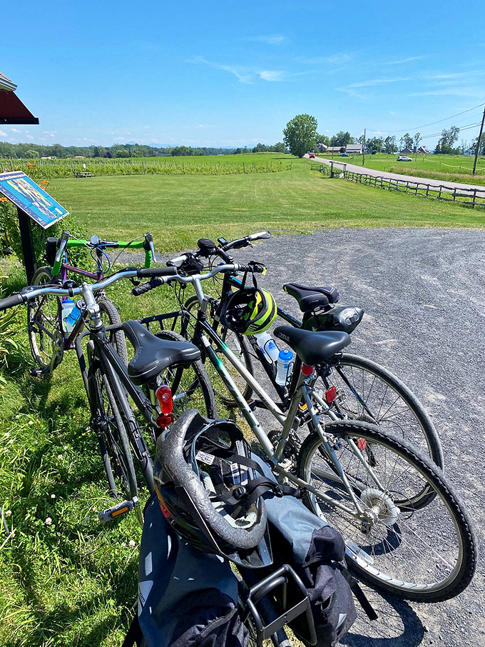 Grassy rest areas invite picnickers and sun-seekers to pause their journey and fully immerse themselves in Vermont's natural splendor.