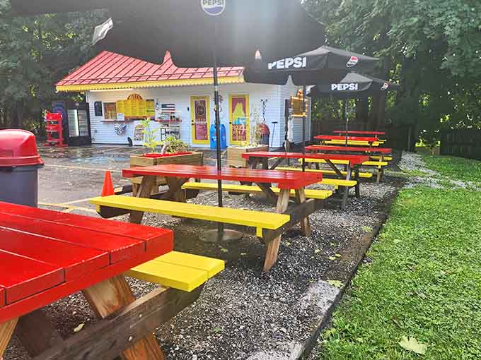 Colorful picnic tables and cheerful planters create the perfect casual dining atmosphere under Maine skies.
