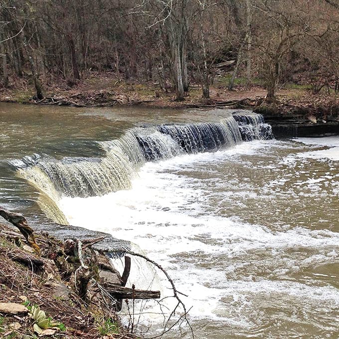 Horseshoe Falls creates nature's perfect white noise machine. Water that's been practicing the same tumbling routine for centuries and still never misses a beat.