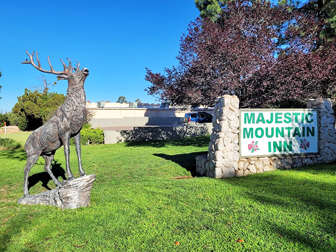 The park entrance sign stands as a humble introduction to the geological celebrity within, understating the wonder that awaits beyond.