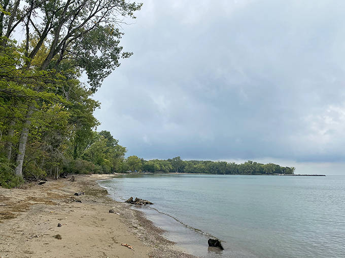 North Pond Nature Preserve's untouched shoreline reminds us what beaches looked like before humans arrived with umbrellas and volleyball nets.