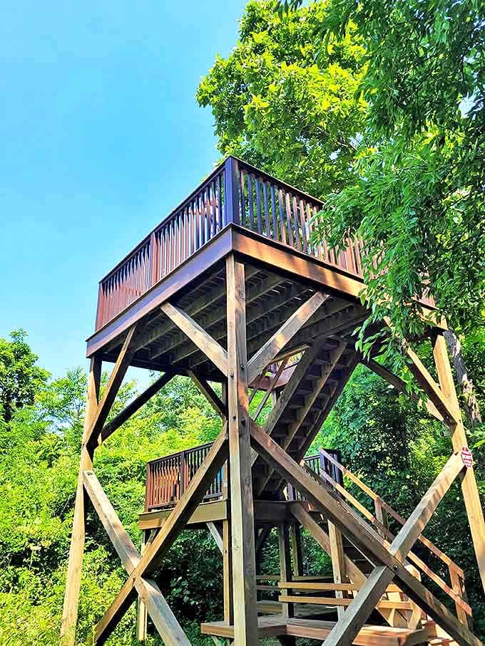 The observation tower rewards climbers with panoramic views of the preserve, where trolls are just one chapter in nature's story.