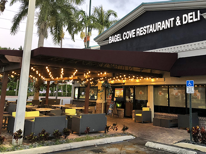 String lights twinkle above this palm-fringed oasis – the perfect spot to savor morning delights in Florida's gentle sunshine.