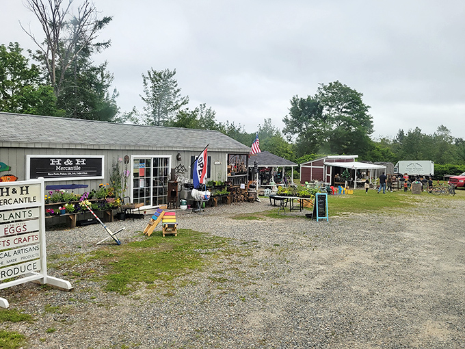 The marketplace expands outdoors during warmer months, offering garden treasures, architectural salvage, and rustic charm for yards and patios.