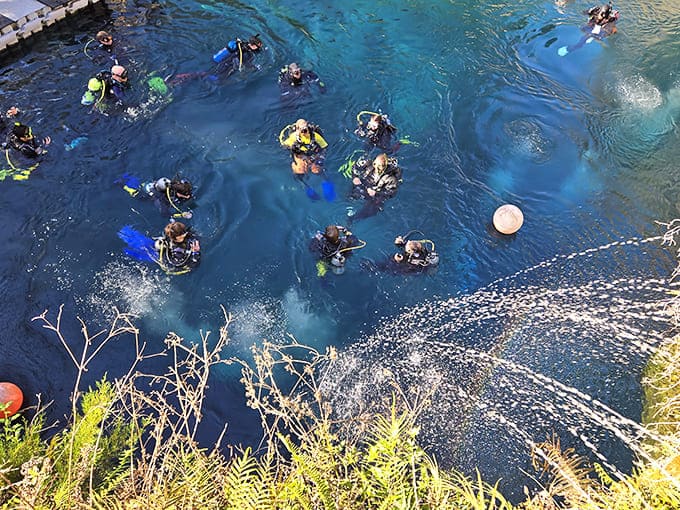 From above, divers appear as curious explorers in an alien landscape, their bubbles rising to the surface like tiny messages.