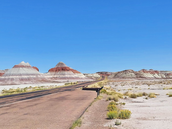 Nature's own rollercoaster: no lines, no height restrictions, just miles of undulating, colorful terrain that'll make your heart skip a beat.