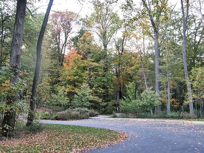 Winding asphalt ribbon cuts through autumn's palette, inviting exploration of hidden corners where unexpected treasures await discovery.