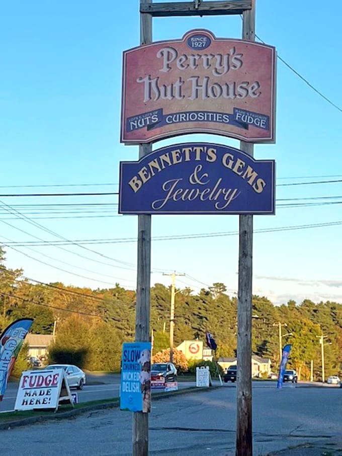 The roadside sign beckons travelers on Route 1, promising nuts, curiosities, and fudge that'll make you glad you stopped.