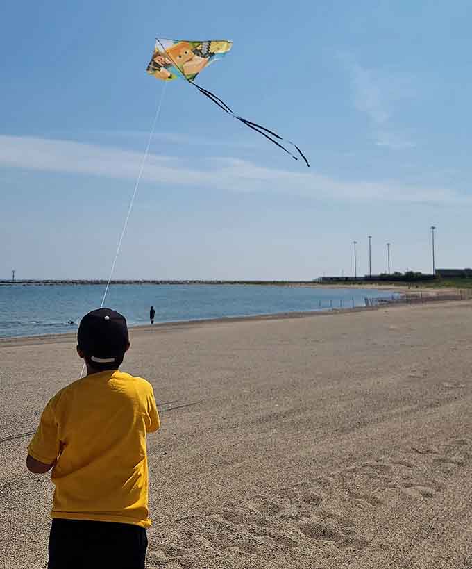 A young kite enthusiast sends colorful fabric soaring overhead, continuing a tradition that predates smartphones and somehow remains more entertaining.