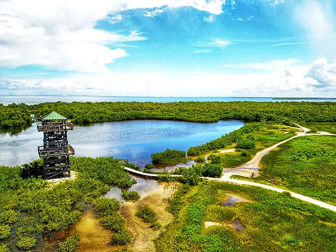 From above, Robinson Preserve reveals its true splendor &ndash; a mosaic of waterways, mangroves and trails that puts theme parks to shame.