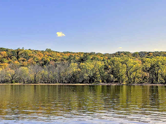 Autumn paints the St. Croix shoreline with golden brushstrokes, reflecting nature's masterpiece in tranquil waters.