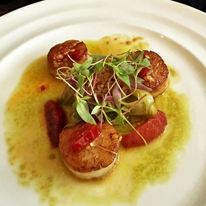 Scallops seared to golden perfection, surrounded by citrus segments like planets orbiting a delicious sun. Neptune would approve.