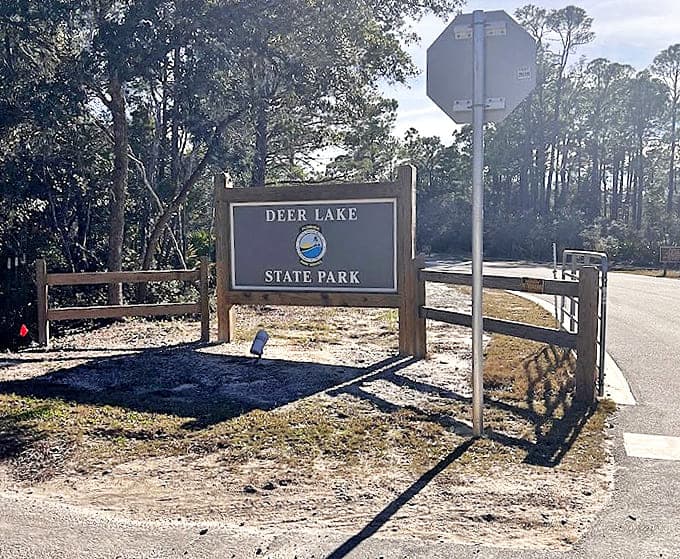 The sign says it all &ndash; Red Rooster Cafe & Catering, where generations have discovered that the best food doesn't need fancy packaging.