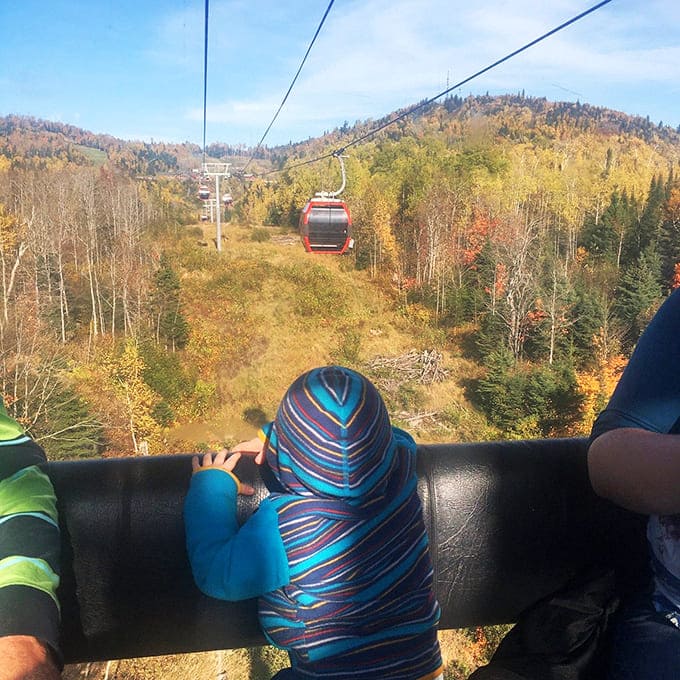 Inside the gondola cabin, even kids understand that some views are worth putting down the iPad for, at least temporarily.