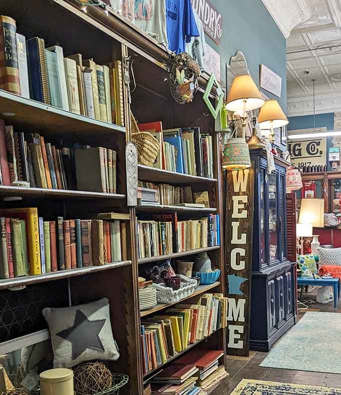 These shelves of old books are treasure troves of forgotten stories and knowledge, back when books were built to survive multiple readings and generations.