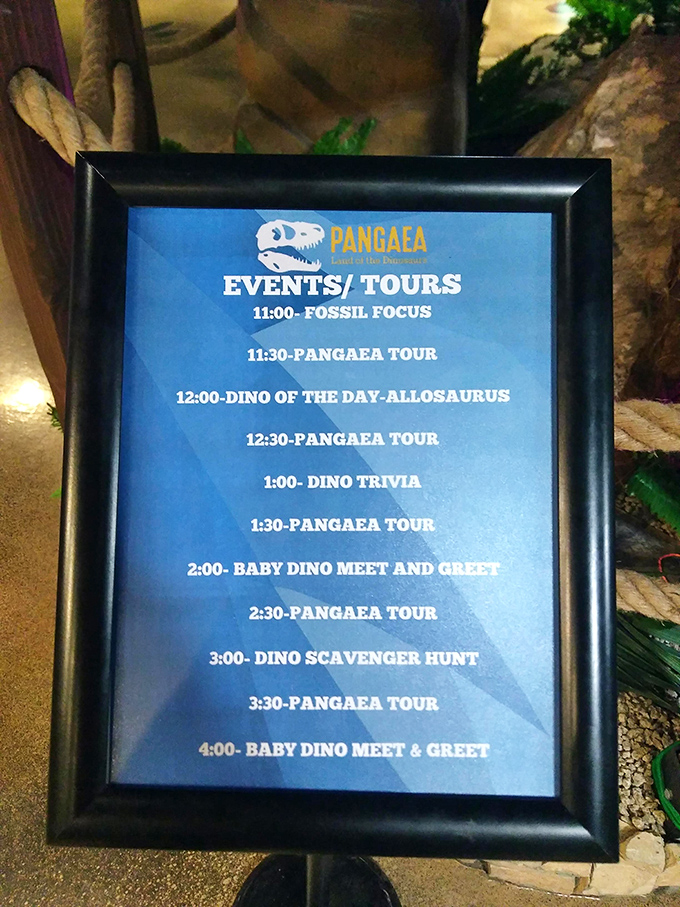 Tours run throughout the day, each offering unique perspectives. Morning might focus on herbivores while afternoon sessions highlight history's most famous predators.