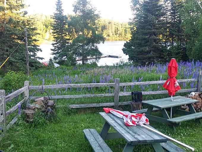 Outside seating with a fire pit lets you extend your visit into a proper Northwoods evening.