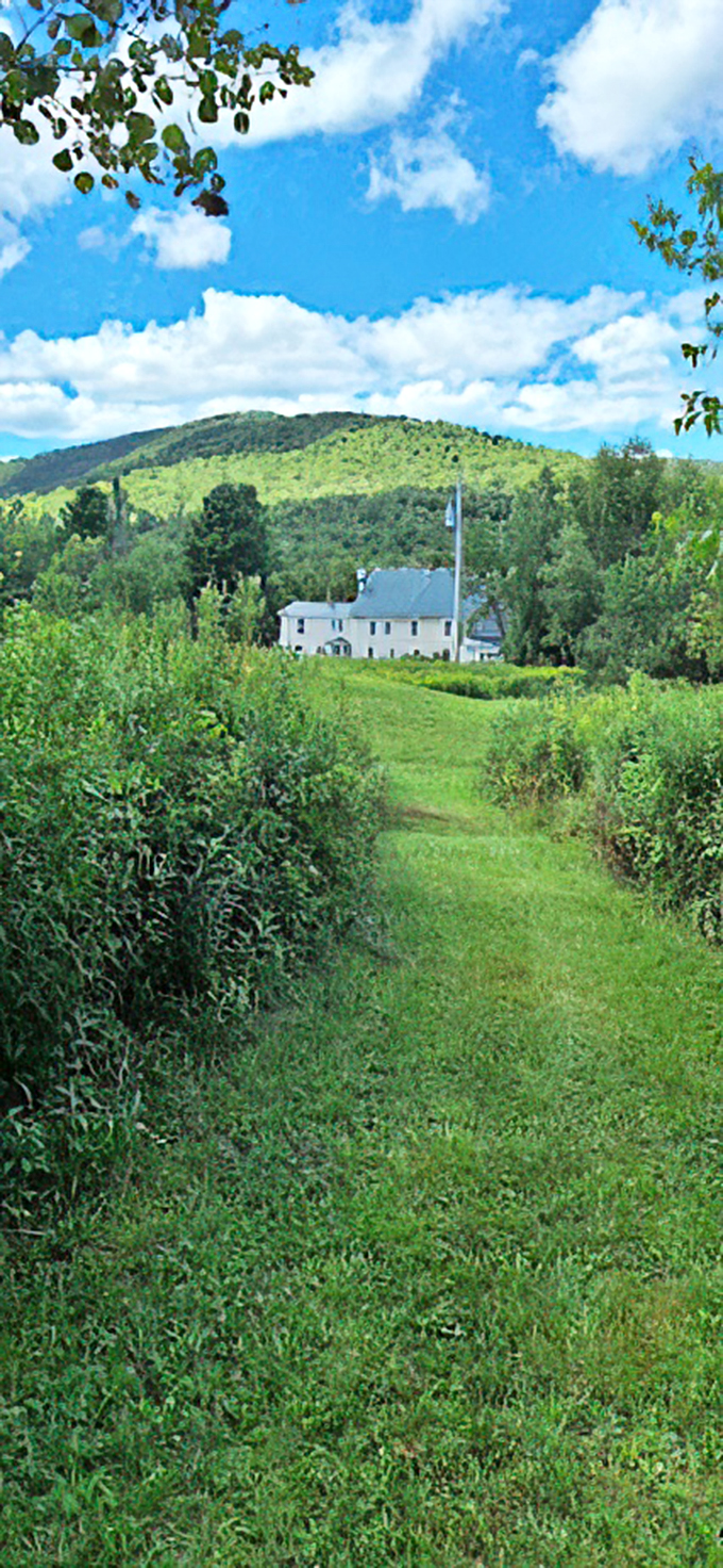 A pastoral path leads to the lodge, promising the kind of peace you can't find in city limits.