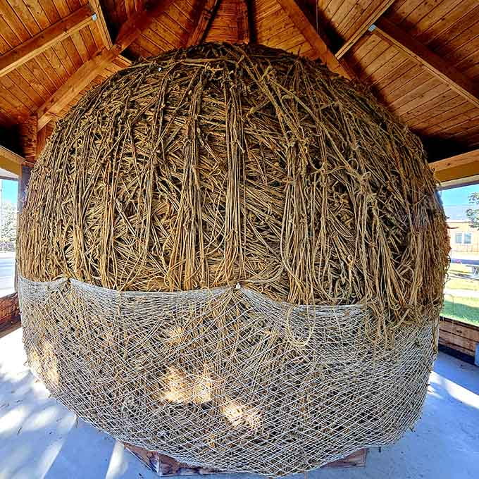 Every angle reveals new appreciation for the countless loops and layers that make this attraction truly one-of-a-kind.