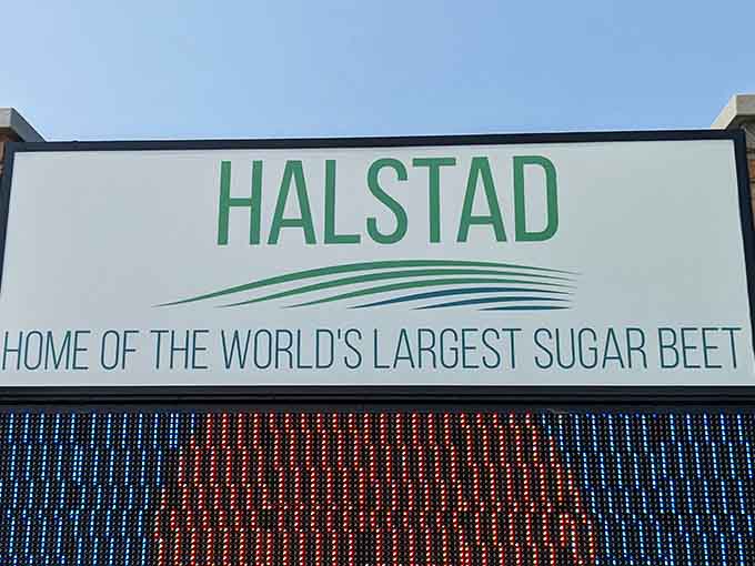 The signage leaves no room for doubt: Halstad is officially home to the World's Largest Sugar Beet, and they're displaying that title with the pride it absolutely deserves.