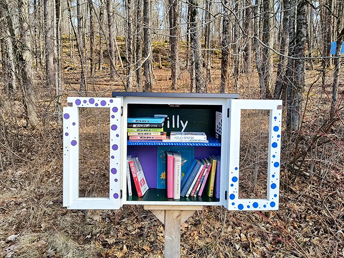 This charming "little free library" stands sentinel along the trail, offering literary adventures to complement your outdoor explorations.