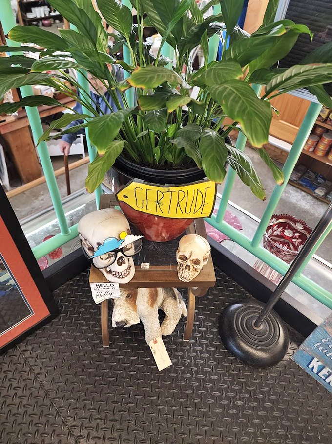 Meet Gertrude and friends, the quirkiest welcoming committee on this side of the looking glass. Even the plant has personality!