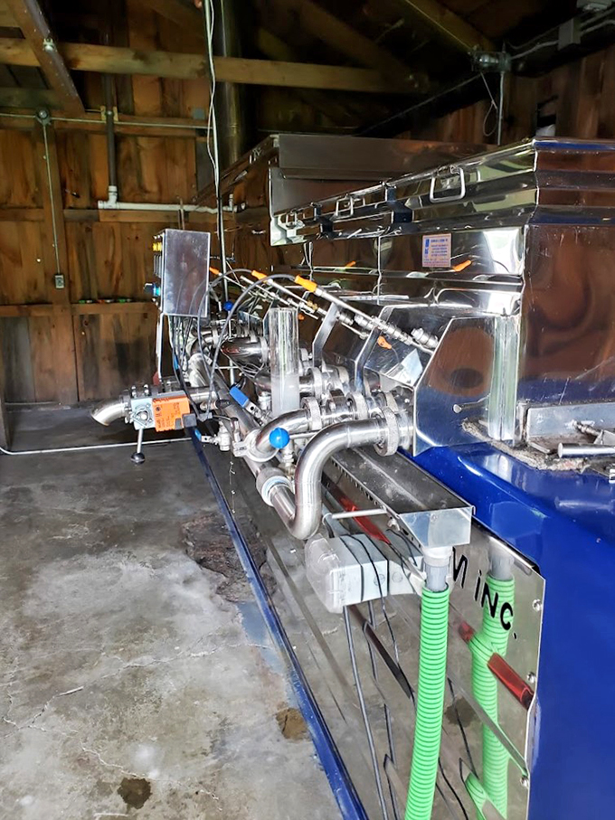 The inner sanctum where maple magic happens. It's like Willy Wonka's factory, but for grown-ups!