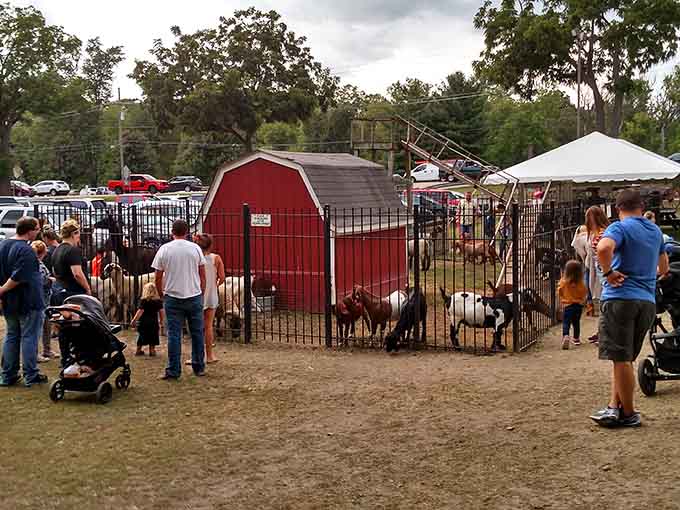 Even in winter's embrace, the mill stands as a crimson beacon against snowy landscapes, offering cozy comfort in Michigan's coldest months.