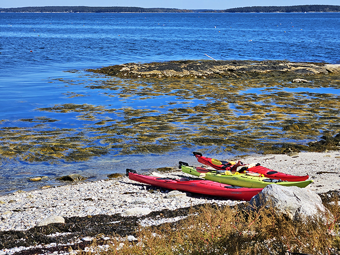 Kayaks resting on Maine's rocky shore &ndash; your chariot awaits for the best leaf-peeping adventure you'll ever paddle through.