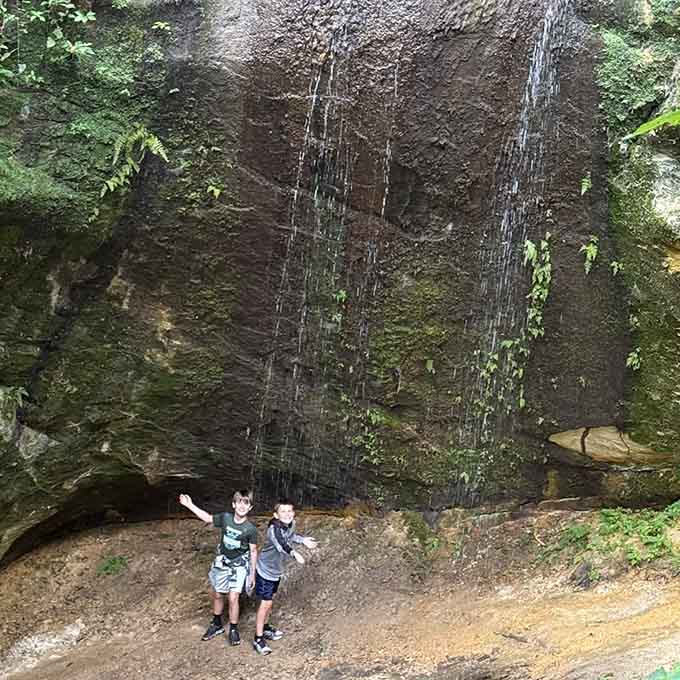 A gentle waterfall creates nature's perfect soundtrack, inviting hikers to pause and appreciate the simple joy of flowing water.