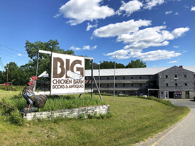 The iconic Big Chicken Barn sign stands proudly alongside Route 1, with its rooster mascot announcing this roadside attraction to passing travelers.